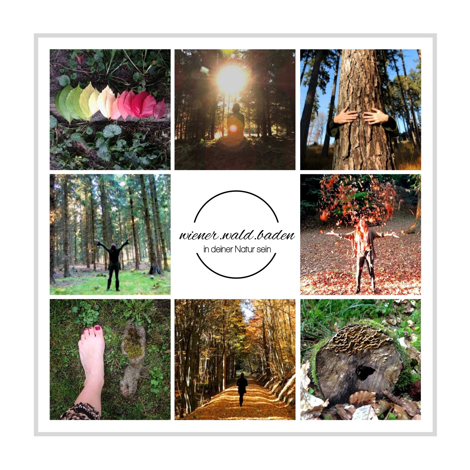 wiener.wald.baden | Biosphärenpark Wienerwald